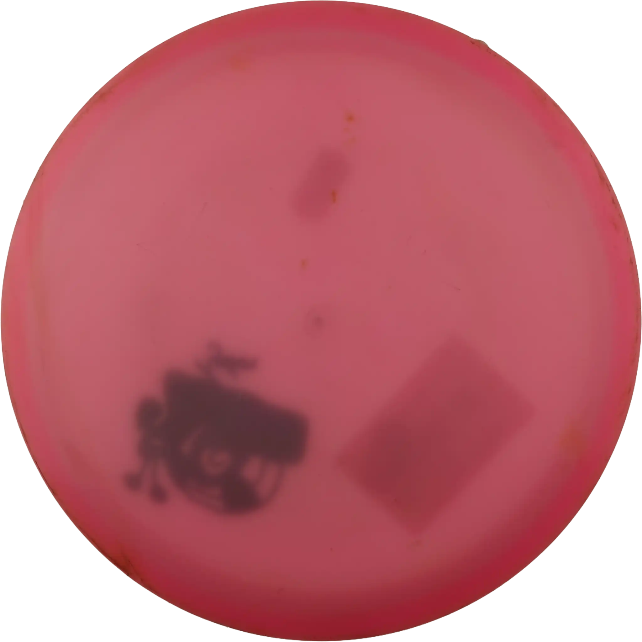 Neo Instinct – KiekkoKingi